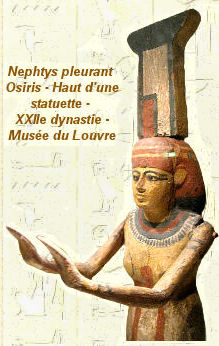 Nephtys